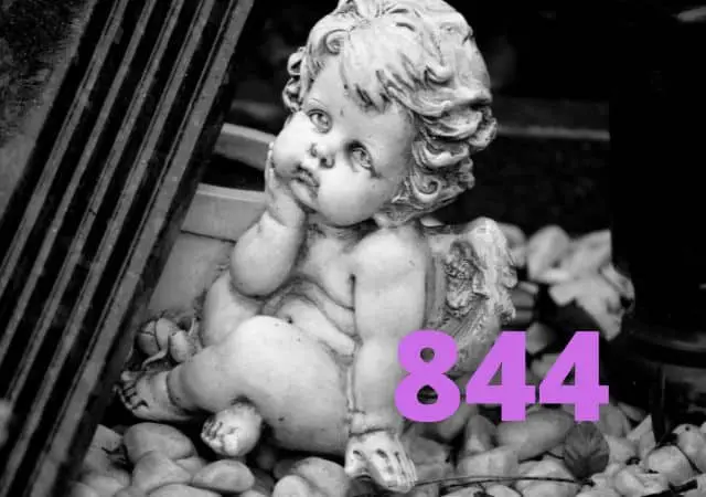 844 Angel Number Twin Flame Meaning: a Guide for You